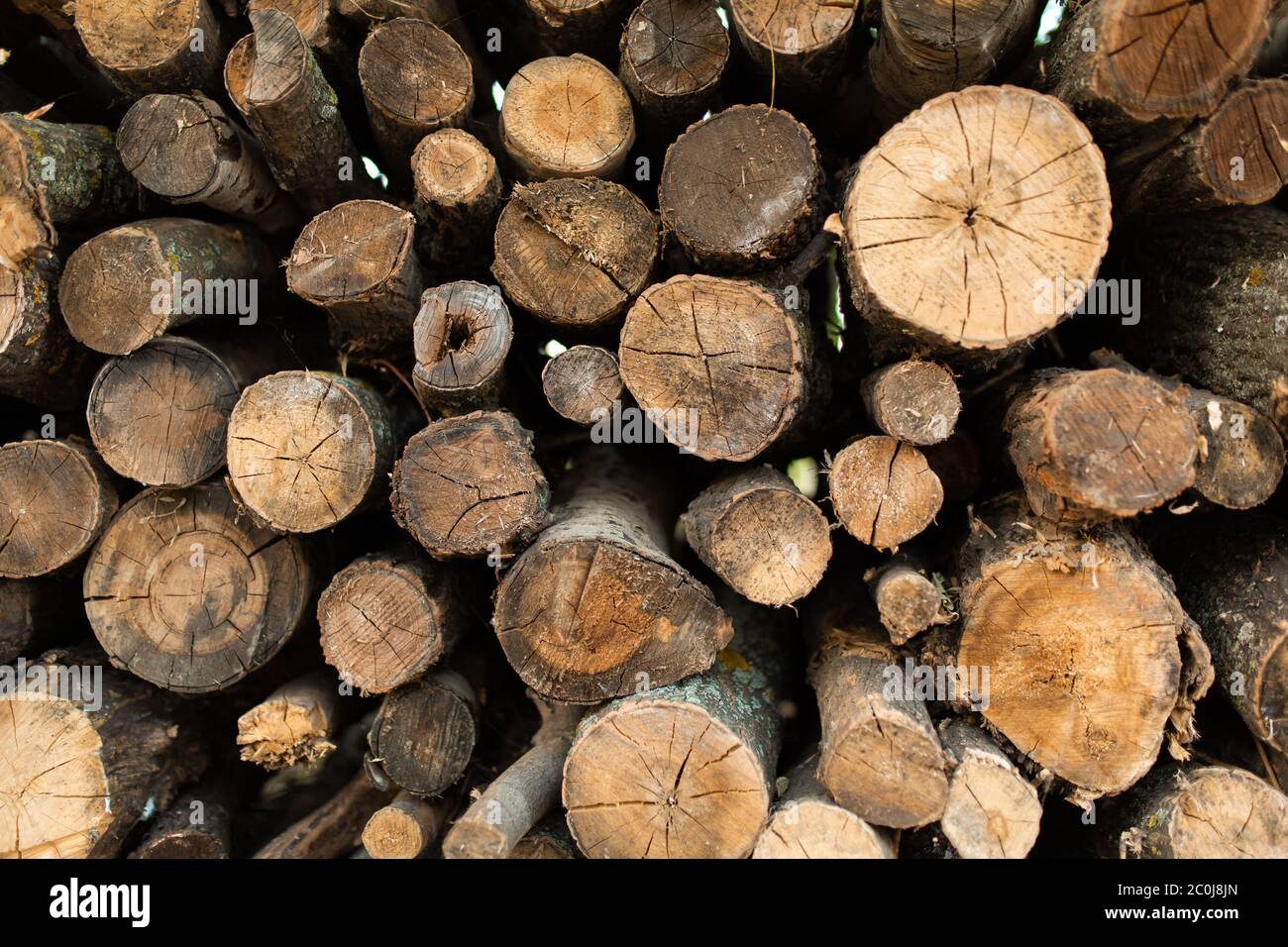 A pile of dry sawn trees. Firewood for the furnace or fireplace Stock ...