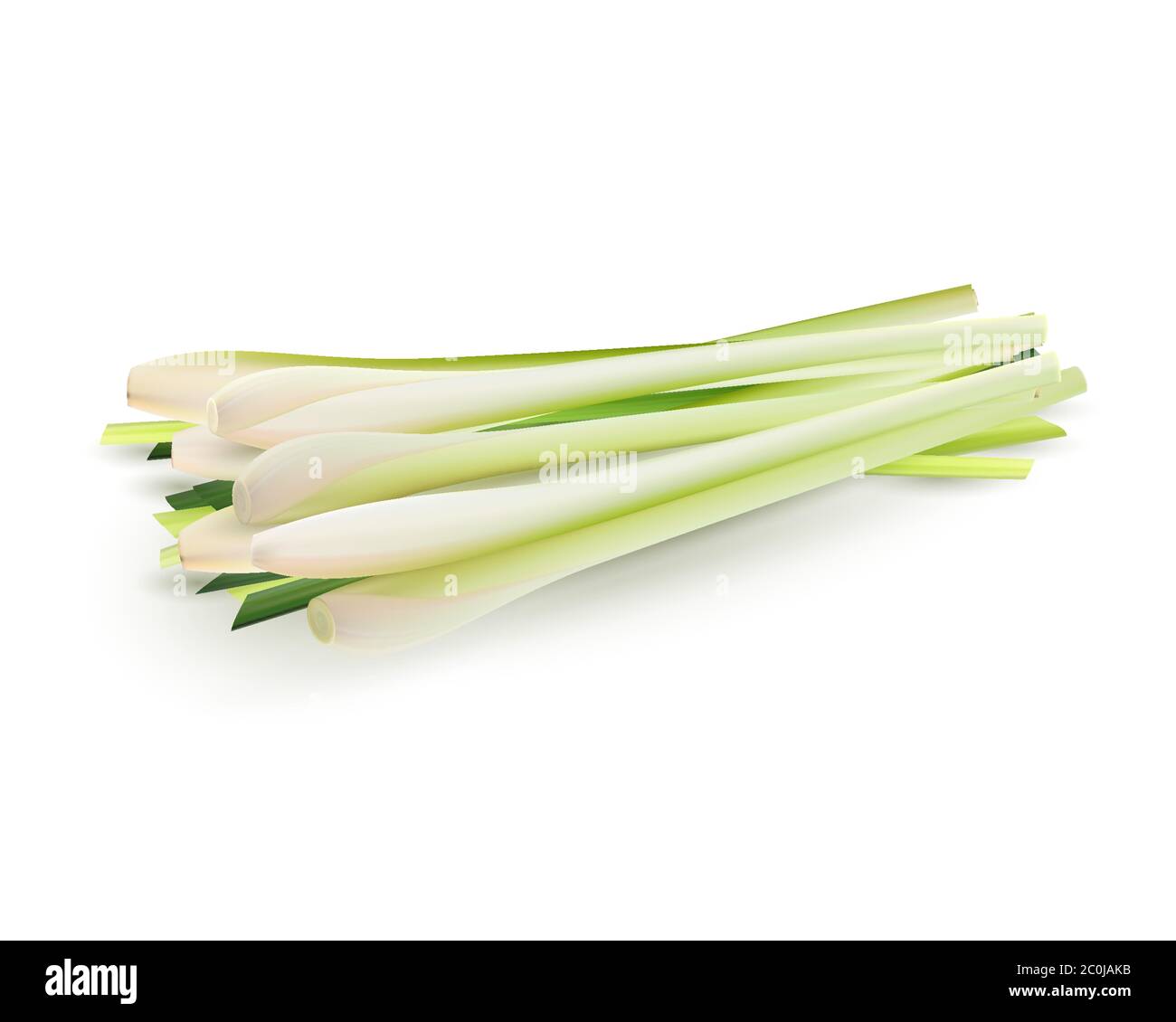 lemongrass. Realistic vector illustration, 3d Stock Vector Image & Art ...