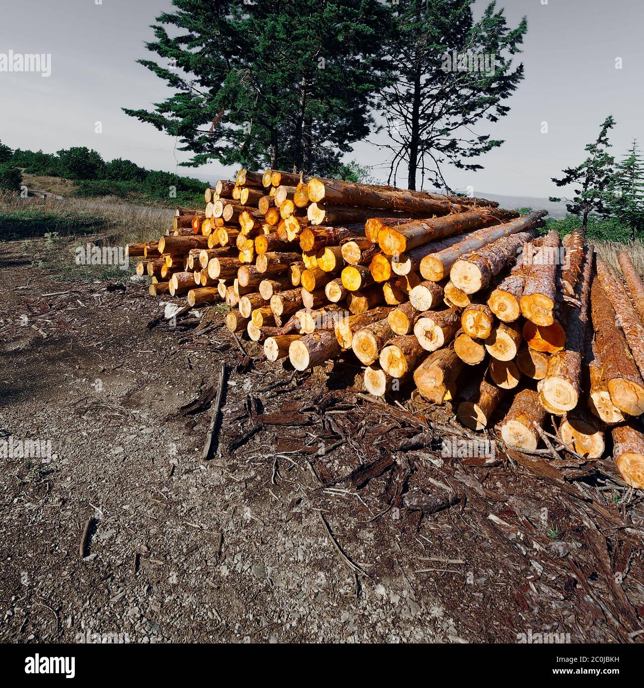 Logging firewood hi-res stock photography and images - Alamy