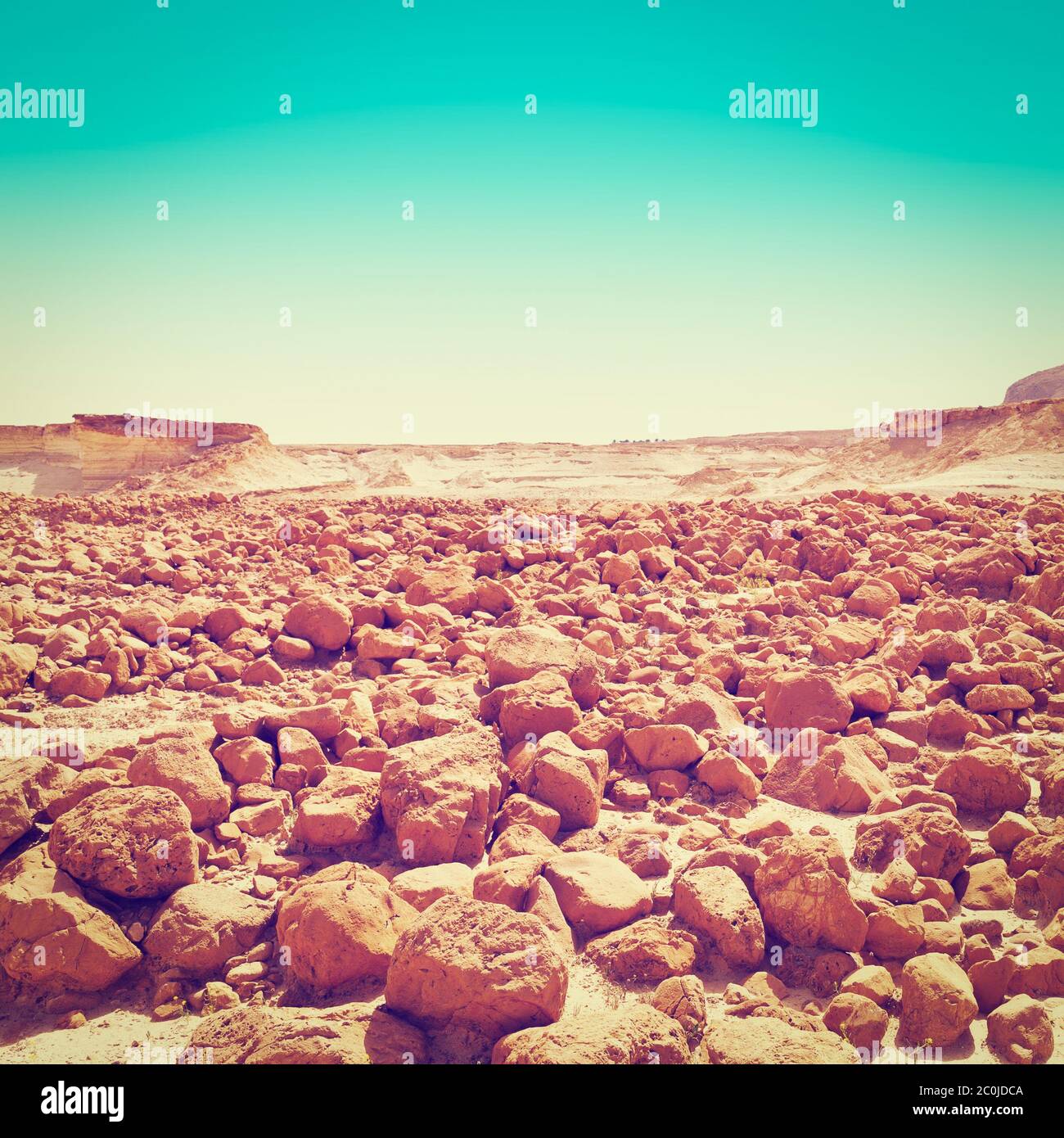 Stones in the Desert Stock Photo - Alamy