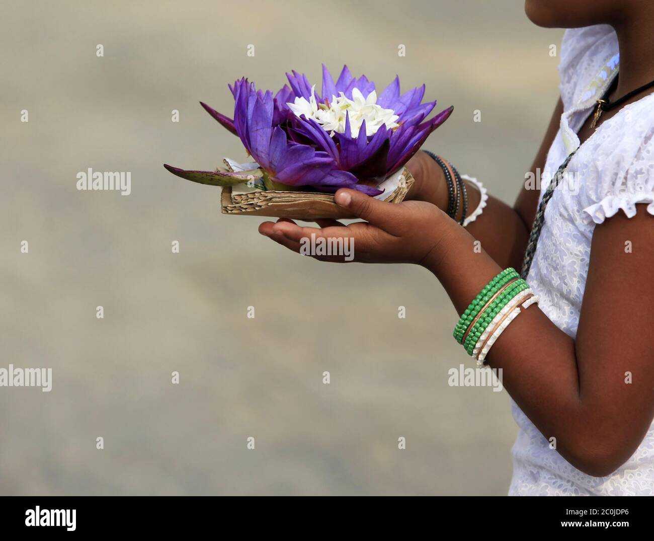 Flowers of a lotus in hands Stock Photo - Alamy