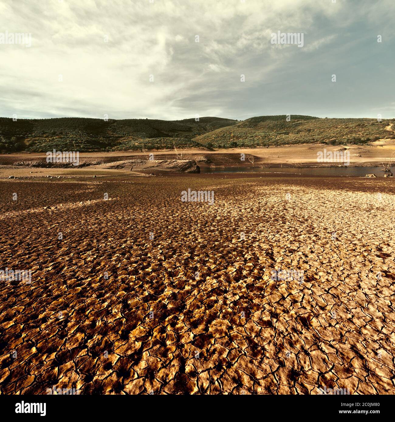 Dry gr hi-res stock photography and images - Alamy