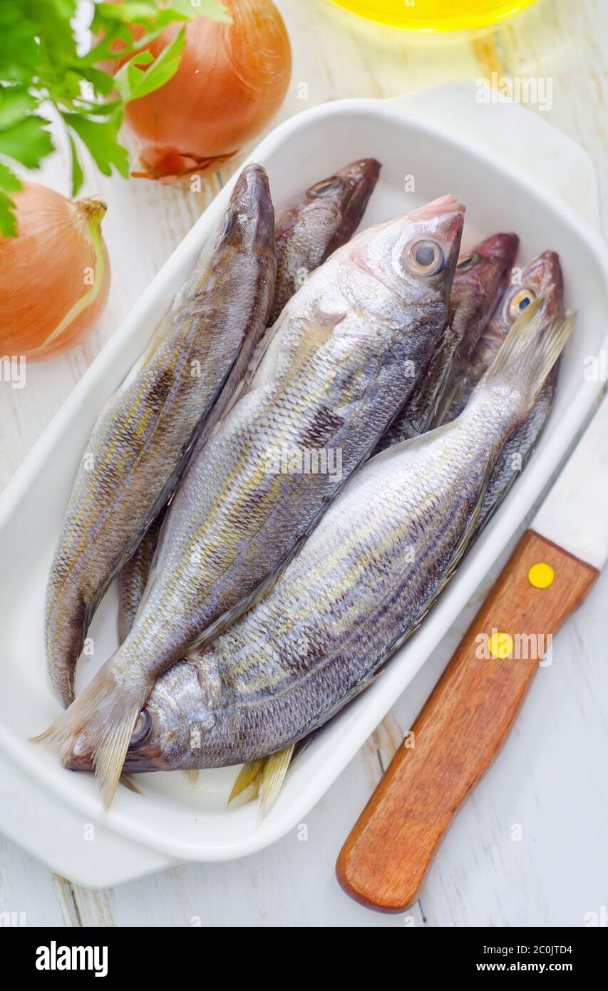 Gill cover fish hi-res stock photography and images - Alamy