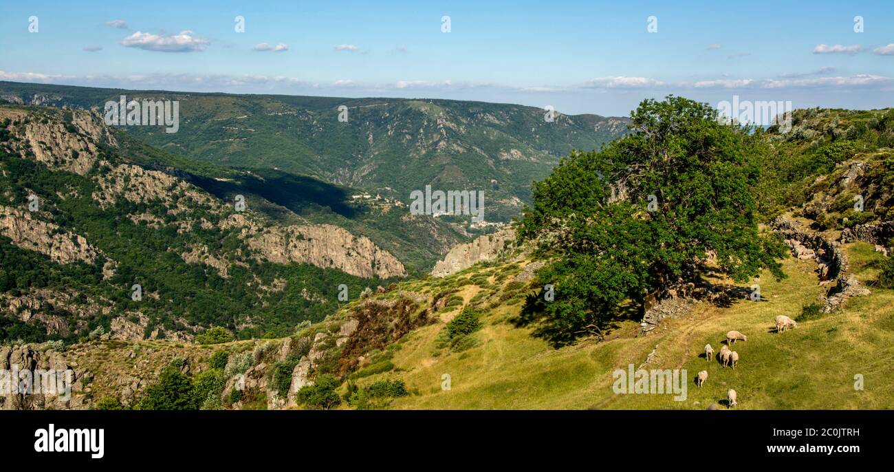 Cevennes mountains national park lozere hi-res stock photography and ...