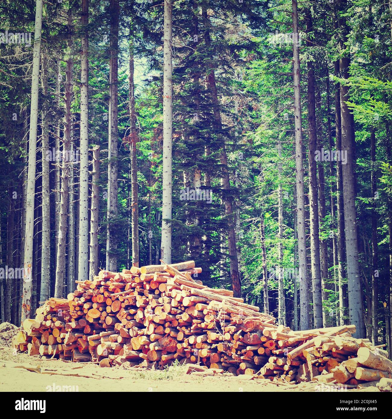 Dirty firewood hi-res stock photography and images - Alamy