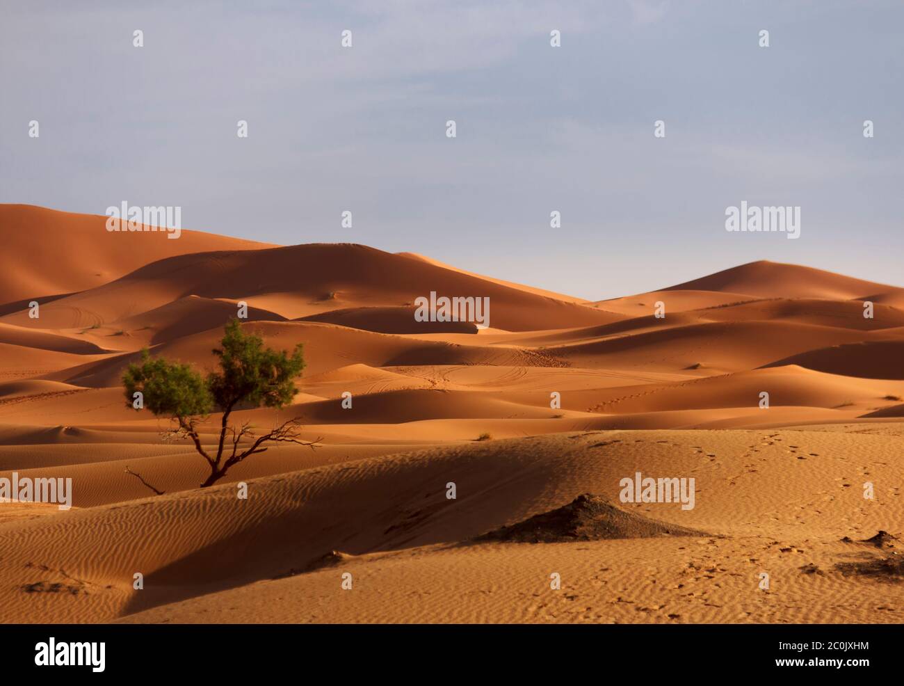 Beautiful scenery sahara desert in hi-res stock photography and images ...