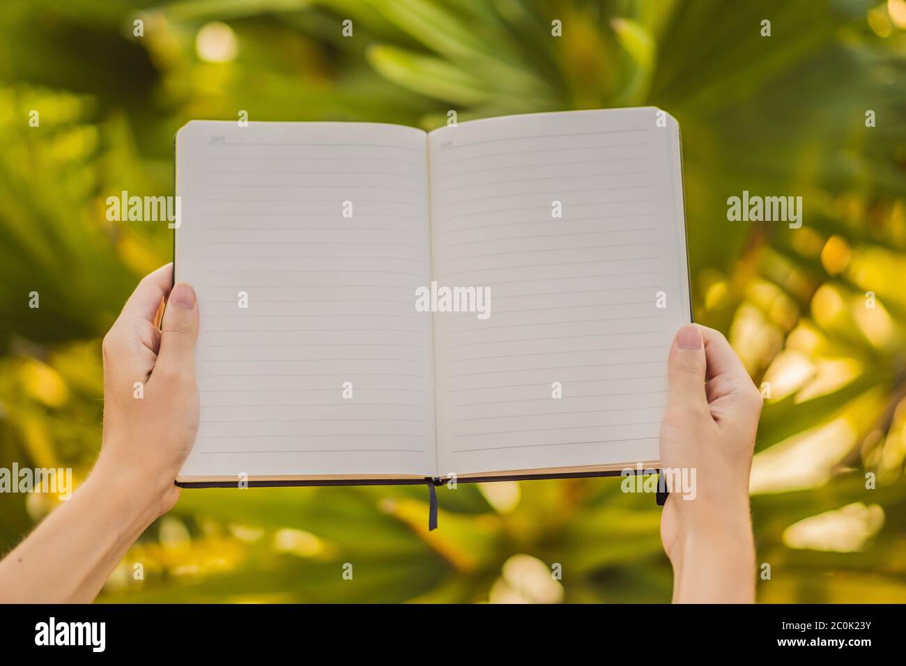 MOCKUP, SCENE CREATOR Women's hands in a tropical background holding a ...