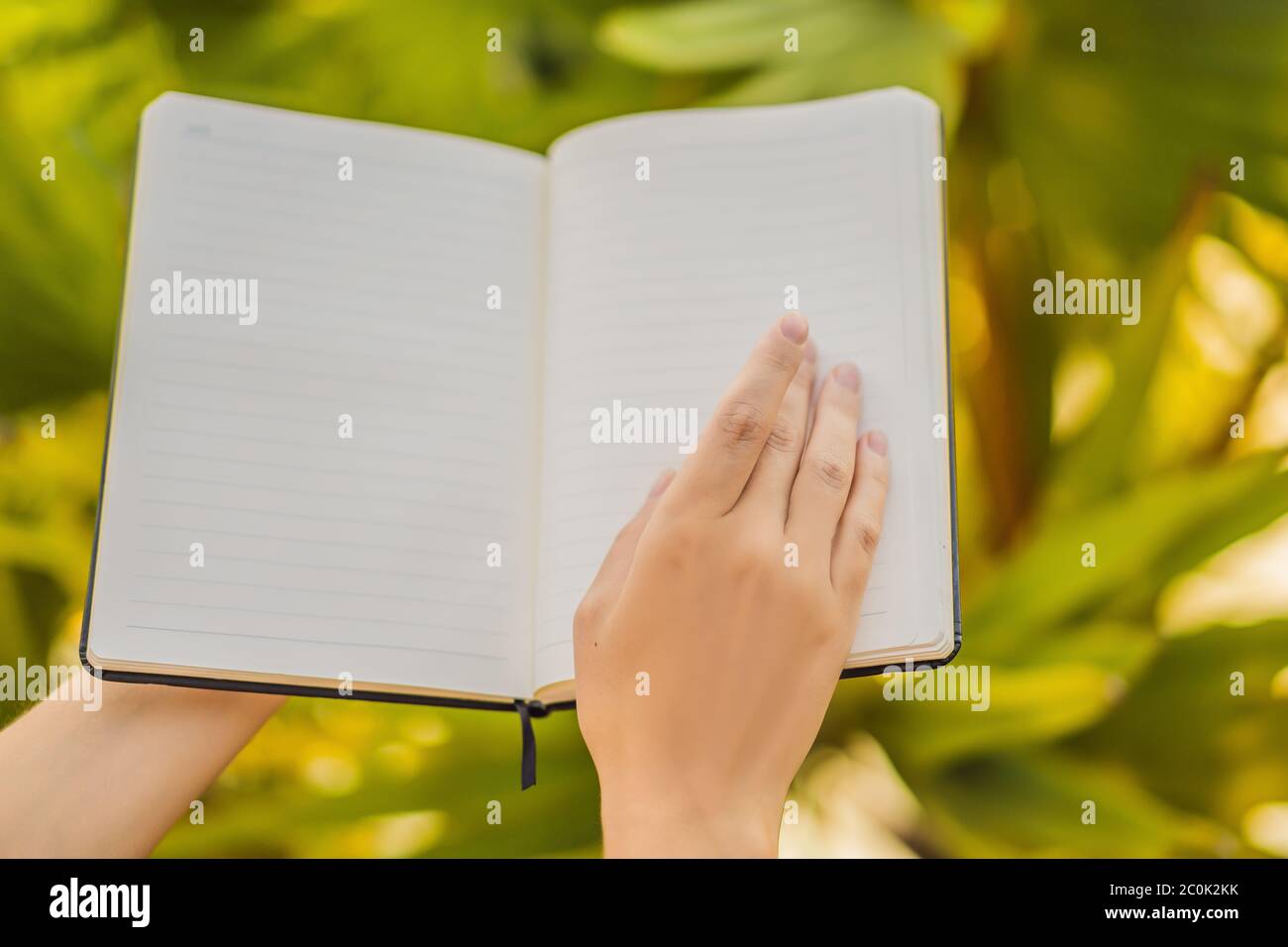 MOCKUP, SCENE CREATOR Women's hands in a tropical background holding a ...
