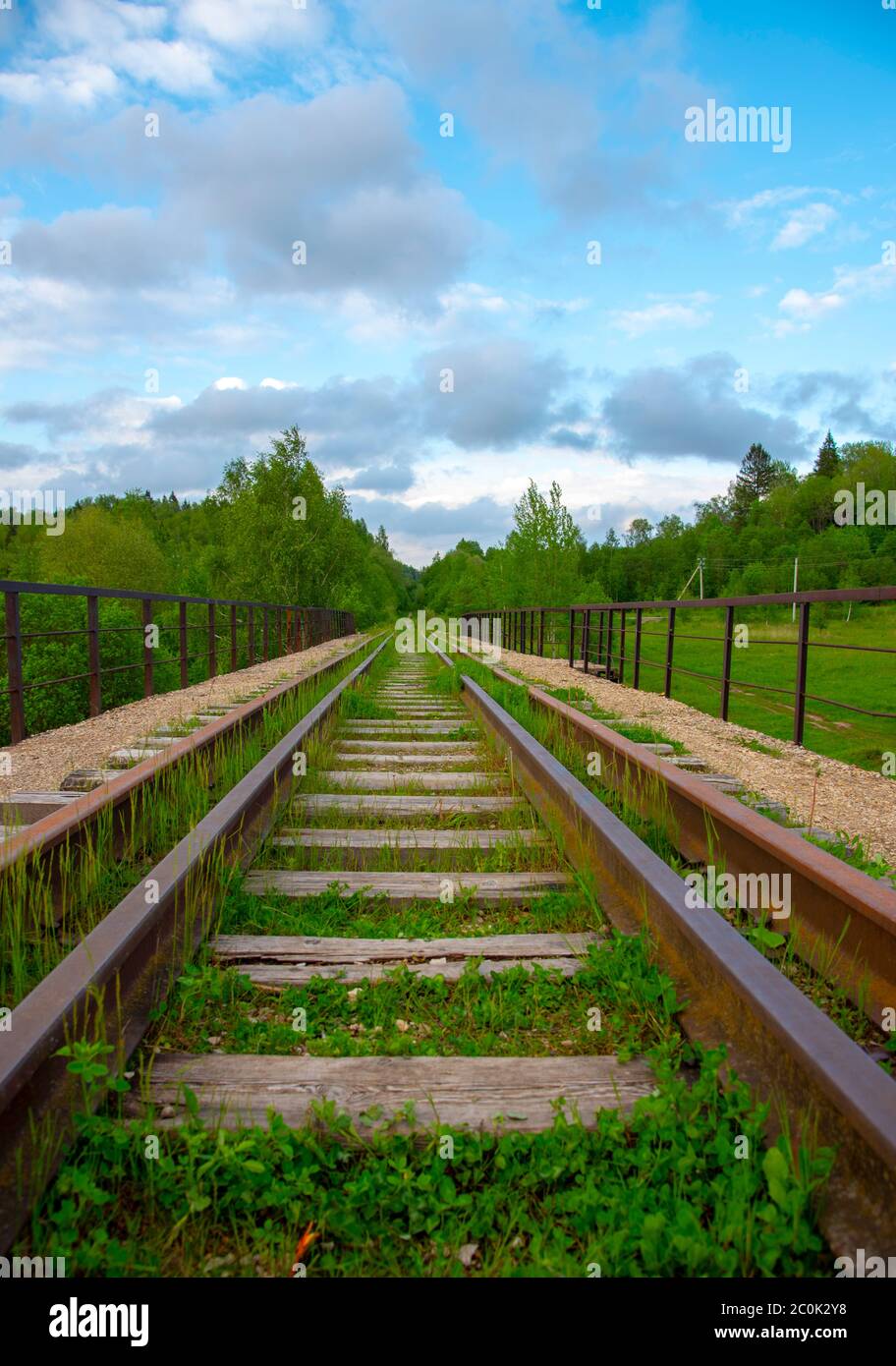 An old Abandoned railway, overgrown with green grass Stock Photo - Alamy