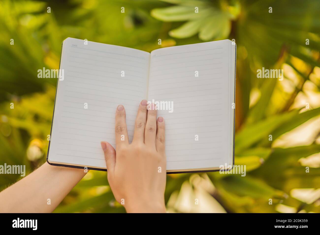 MOCKUP, SCENE CREATOR Women's hands in a tropical background holding a ...
