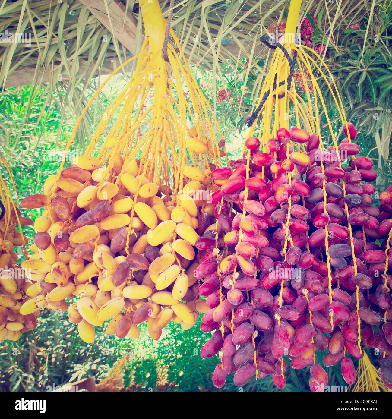 Israel farm market hi-res stock photography and images - Alamy