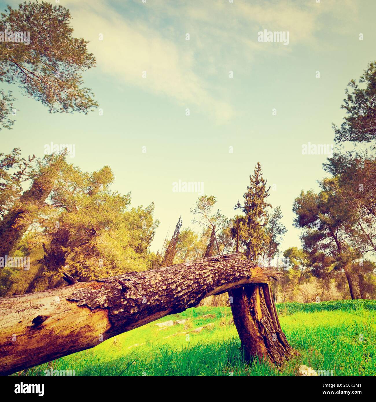 Broken crown not teeth hi-res stock photography and images - Alamy