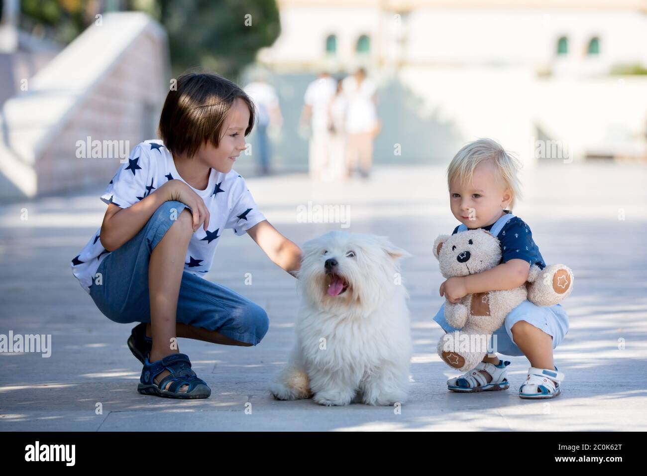 Are Teddy Bear Dogs Good With Small Children