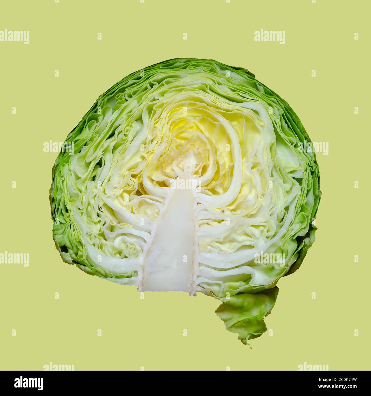 Light and shadow on cabbage leaf hi-res stock photography and images ...