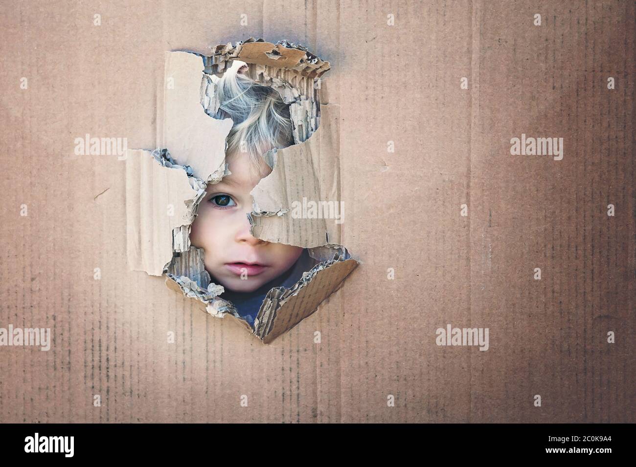 Sweet toddler child, cute blond boy, hiding in cardboard box, looking ...
