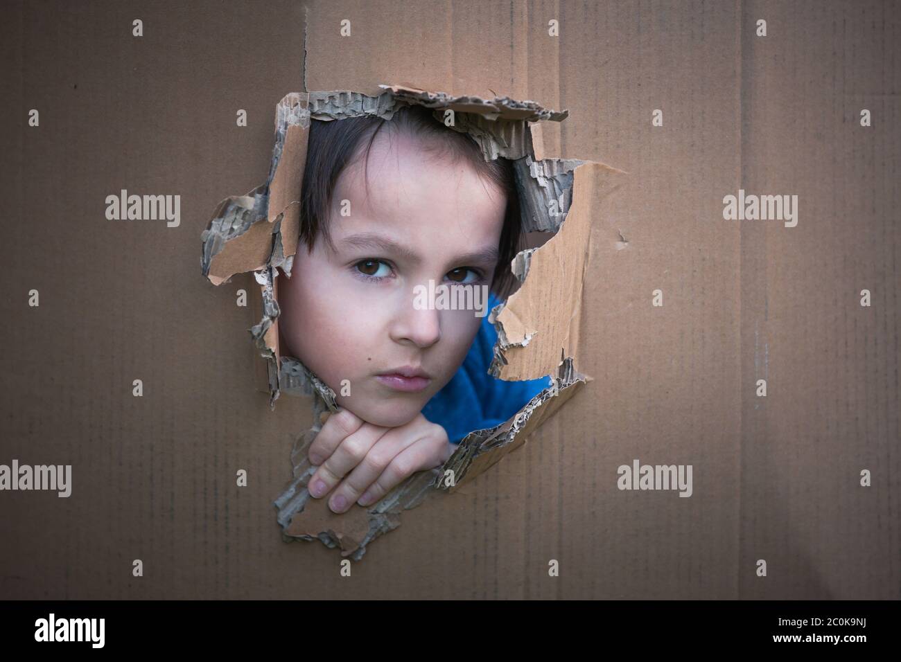 Sweet toddler child, cute blond boy, hiding in cardboard box, looking ...