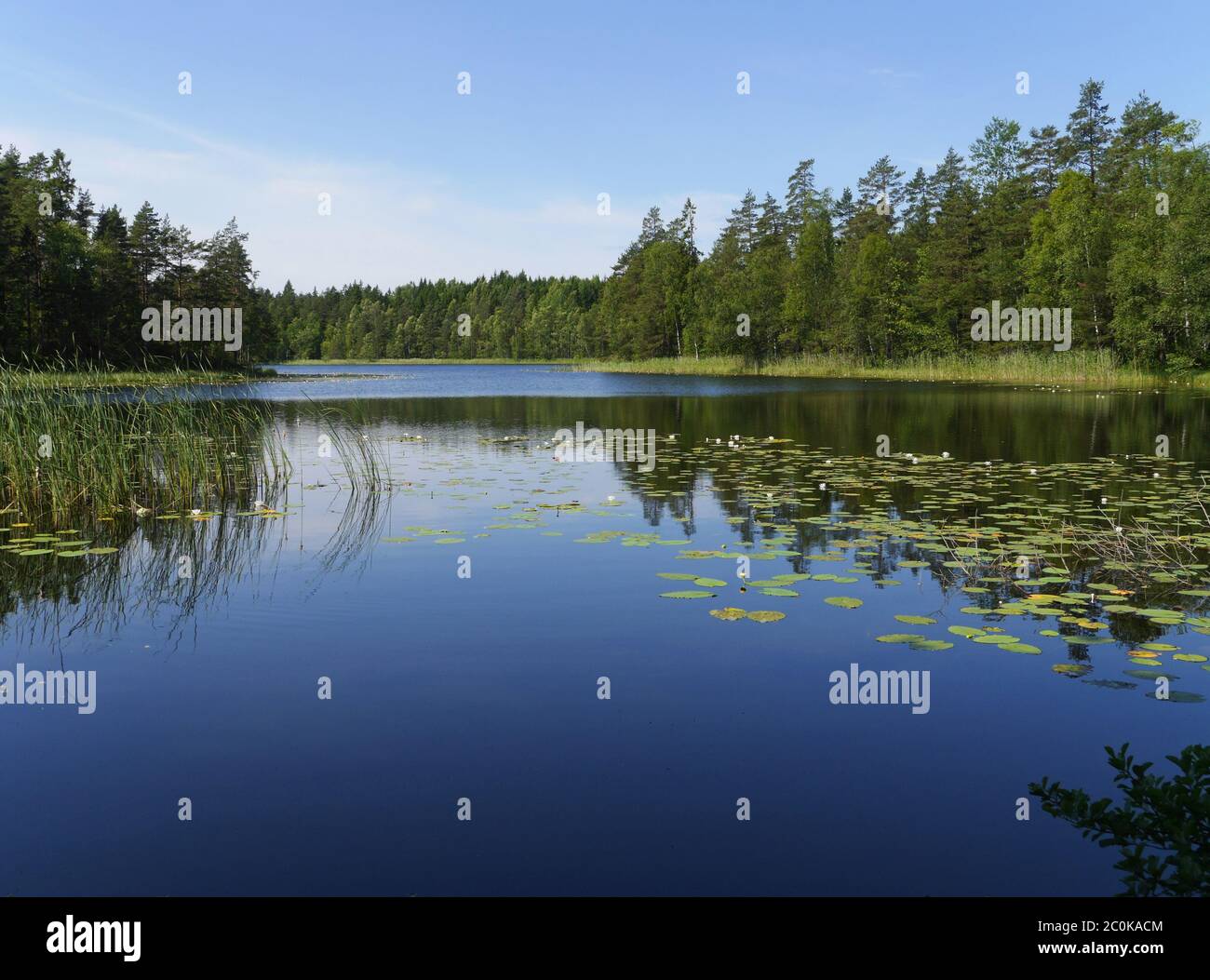 Finland natural hi-res stock photography and images - Alamy
