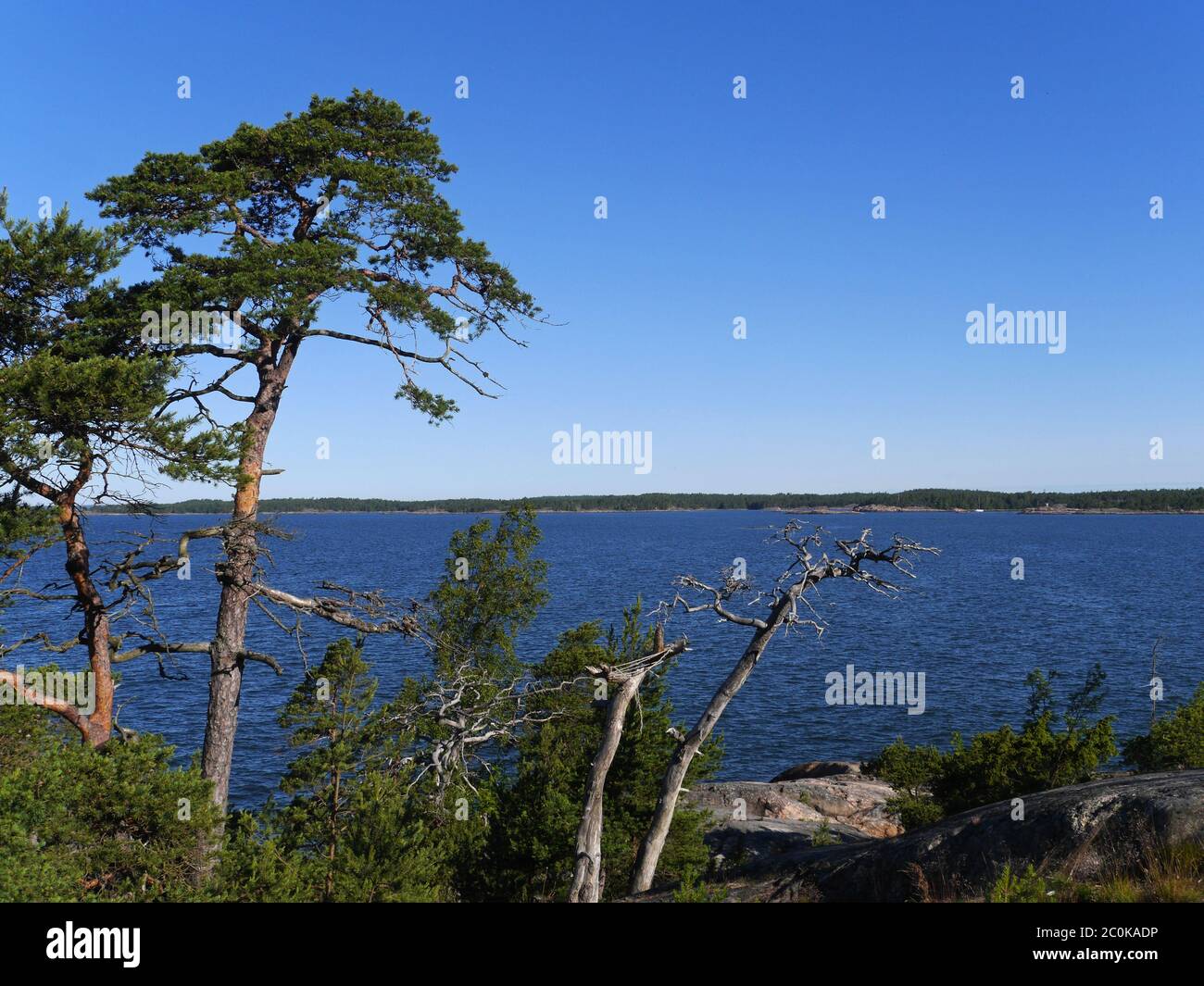 coastal landscape in finland Stock Photo - Alamy
