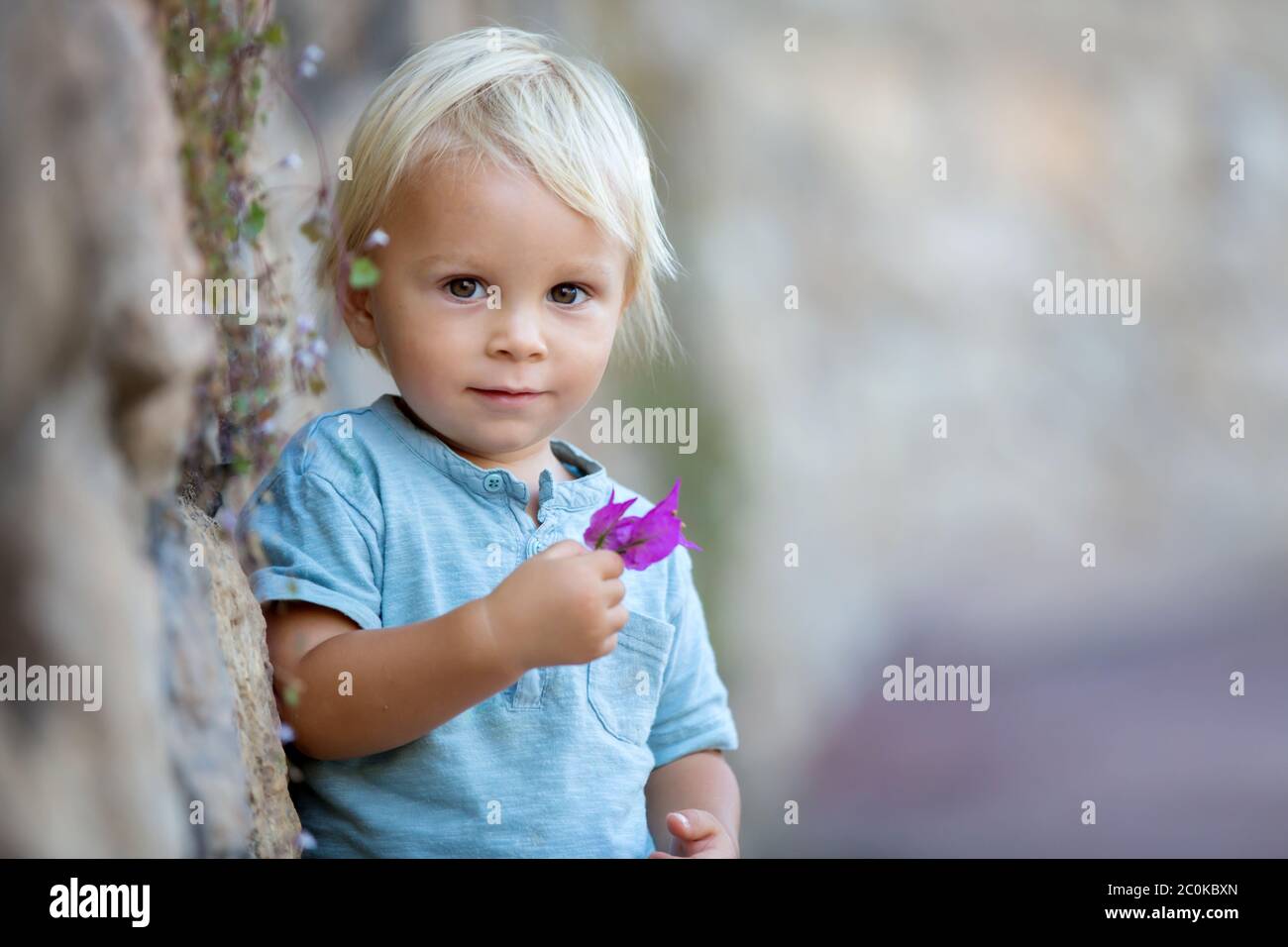Beautiful portrait of young toddler boy, holding flower, standing next ...