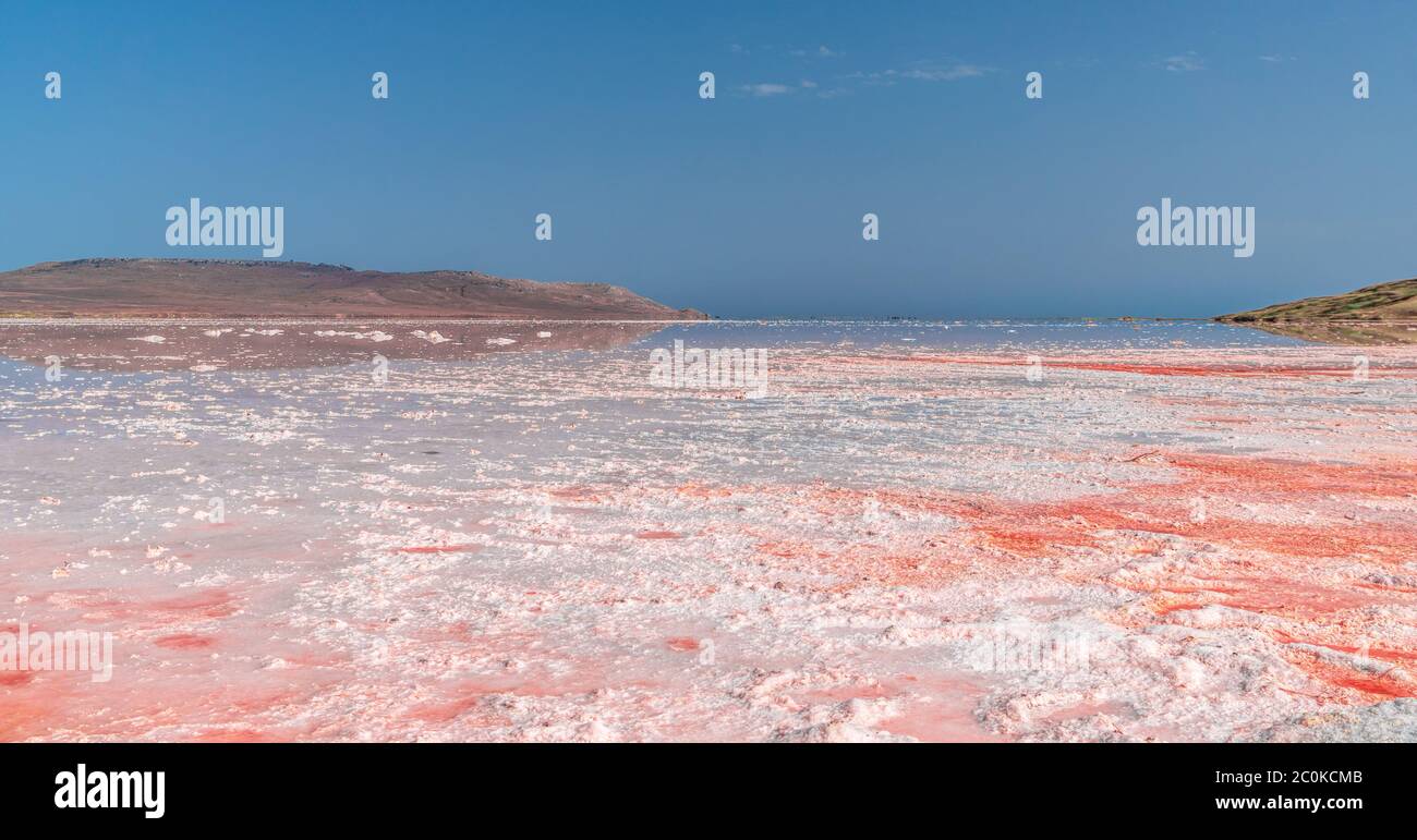 Brine and salt of a pink lake Koyash colored by microalgae Dunaliella ...