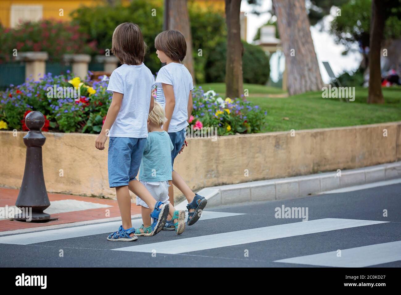 Three children, boys, brothers, holding hands and crossing a street on ...