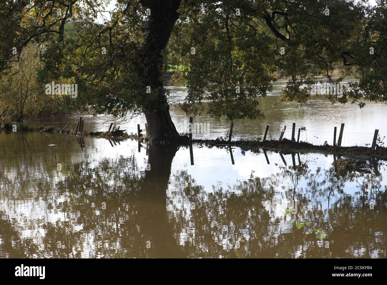 River Teifi in flood Stock Photo - Alamy