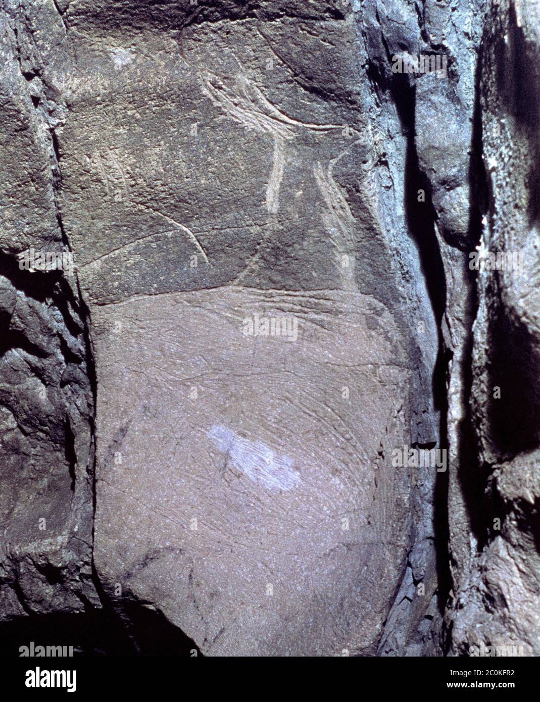 Pintura Rupestre High Resolution Stock Photography and Images - Alamy