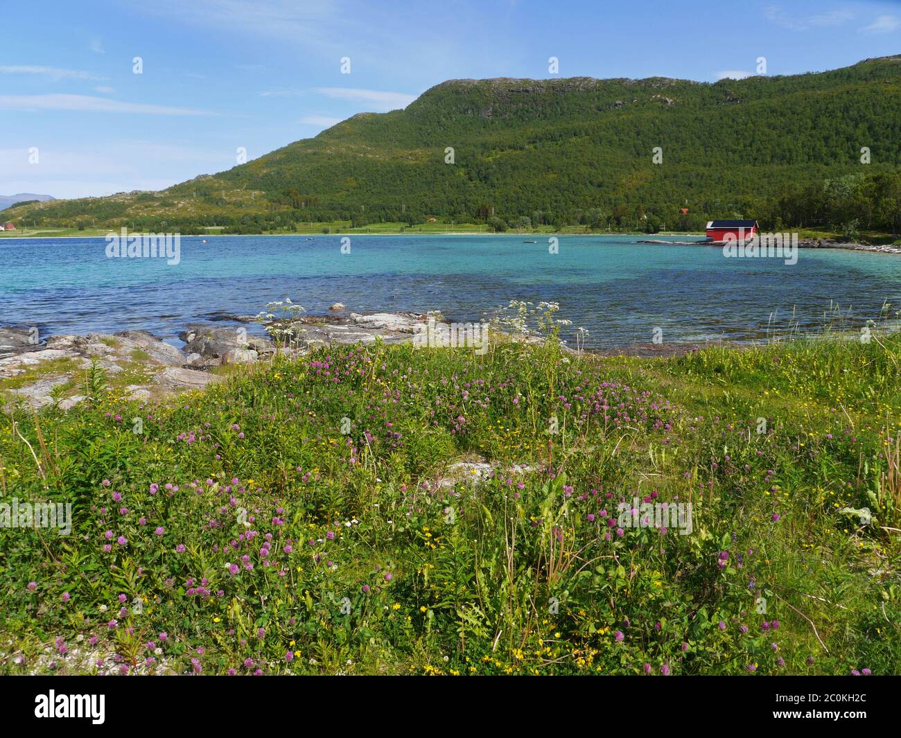 Tjeldsund bridge hi-res stock photography and images - Alamy