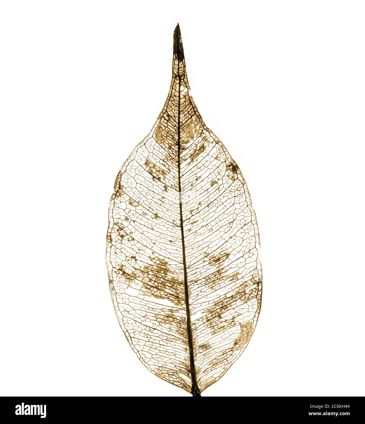 Transparent structure hi-res stock photography and images - Alamy