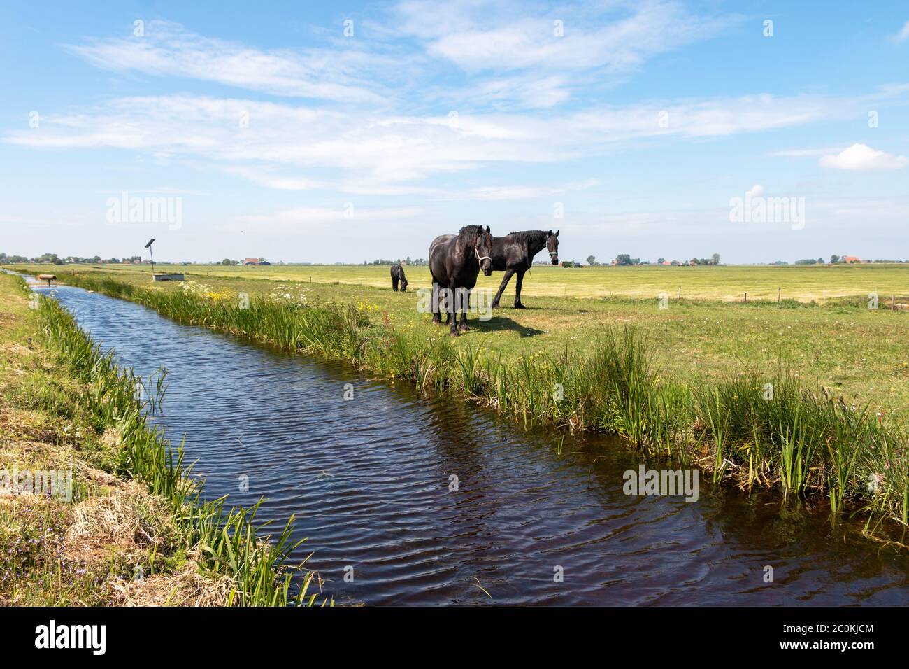 Polder wetlands hi-res stock photography and images - Alamy