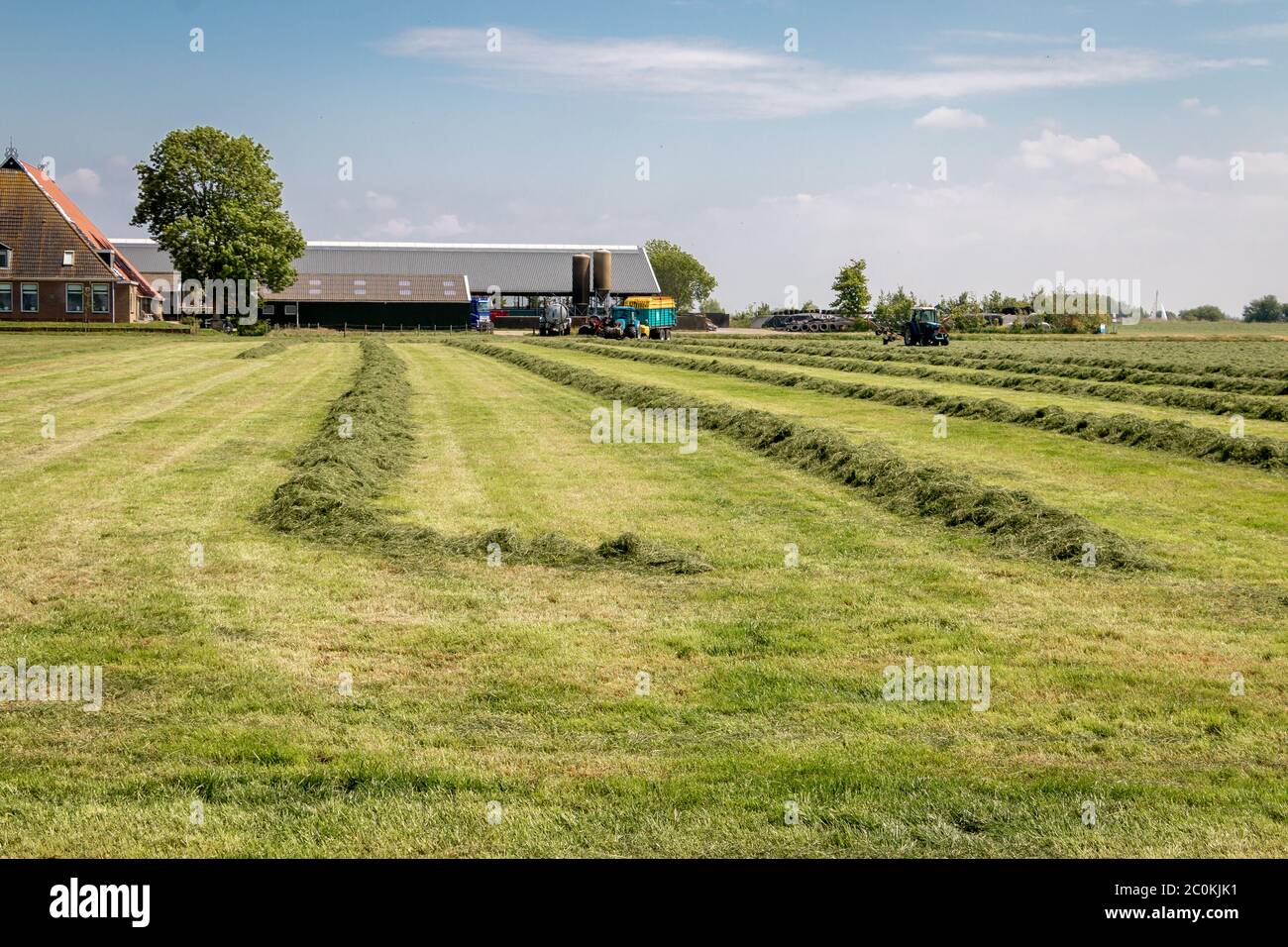 Farm in the Netherlands, province Friesland, region Gaasterland with ...