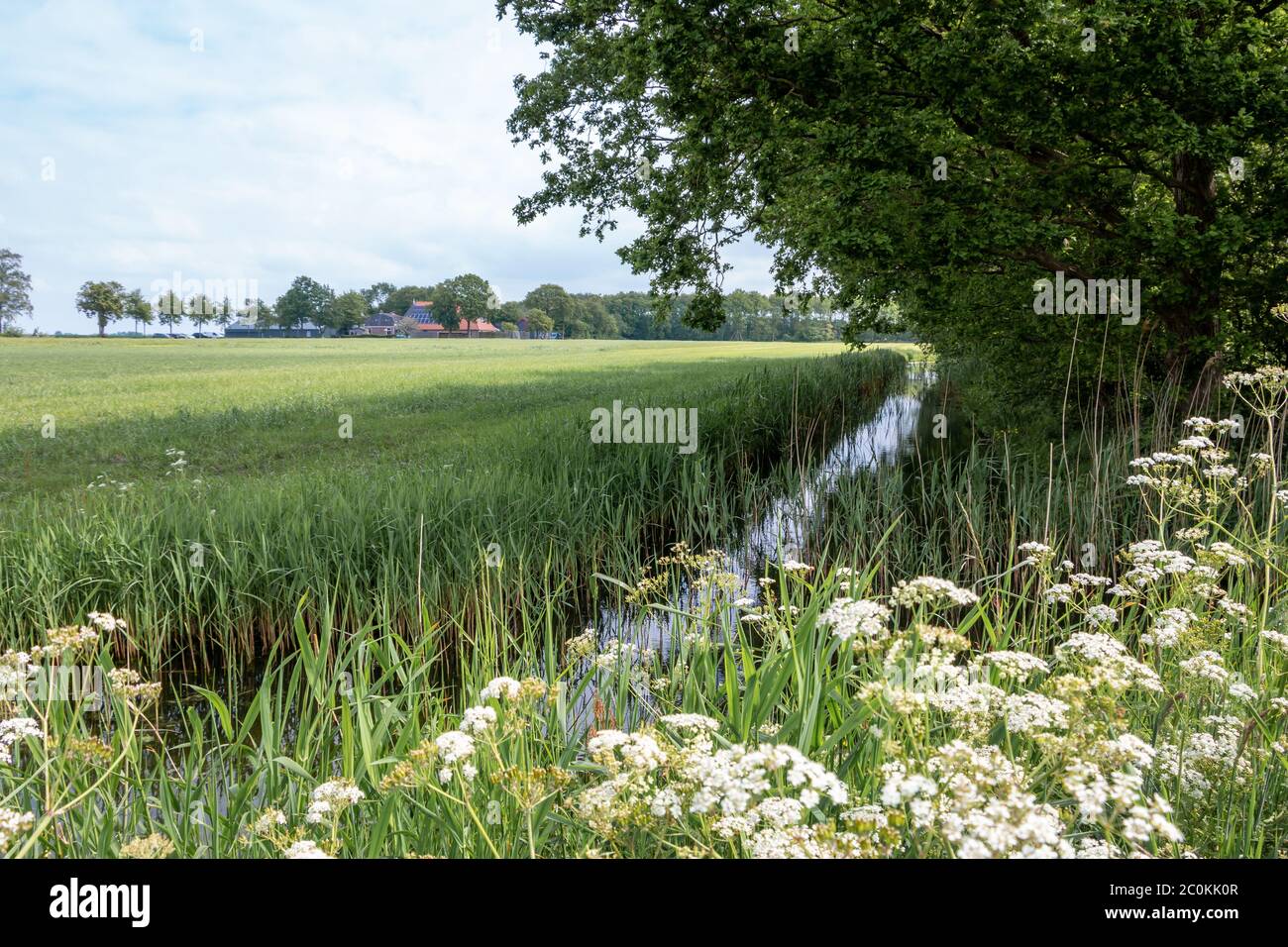 The Netherlands a wet country full of ditches and canals, sailing boats ...