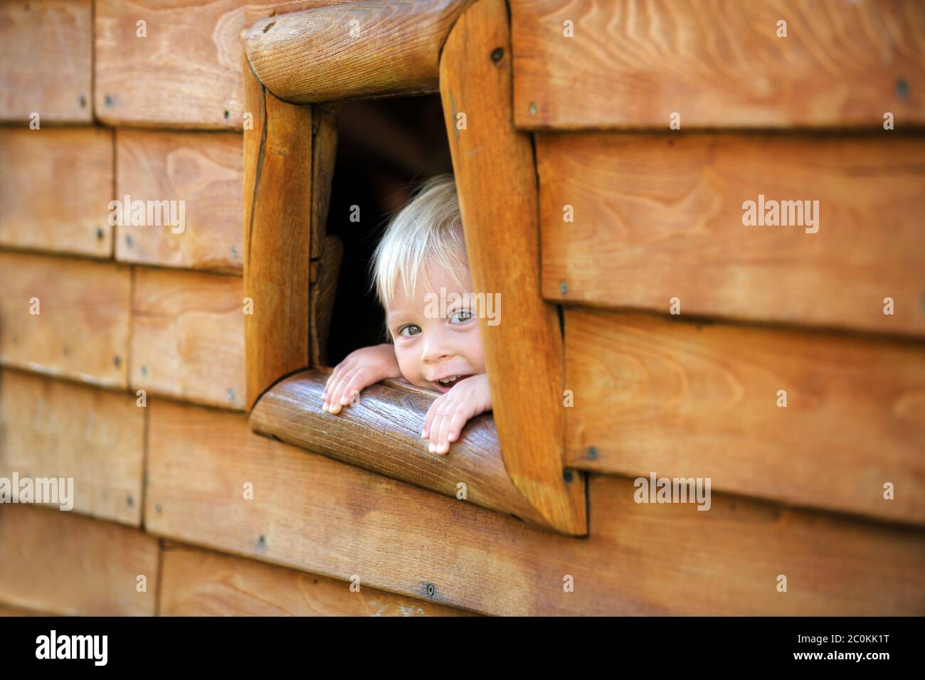 Curious child, toddler boy, peering from a small window in wooden shrub ...