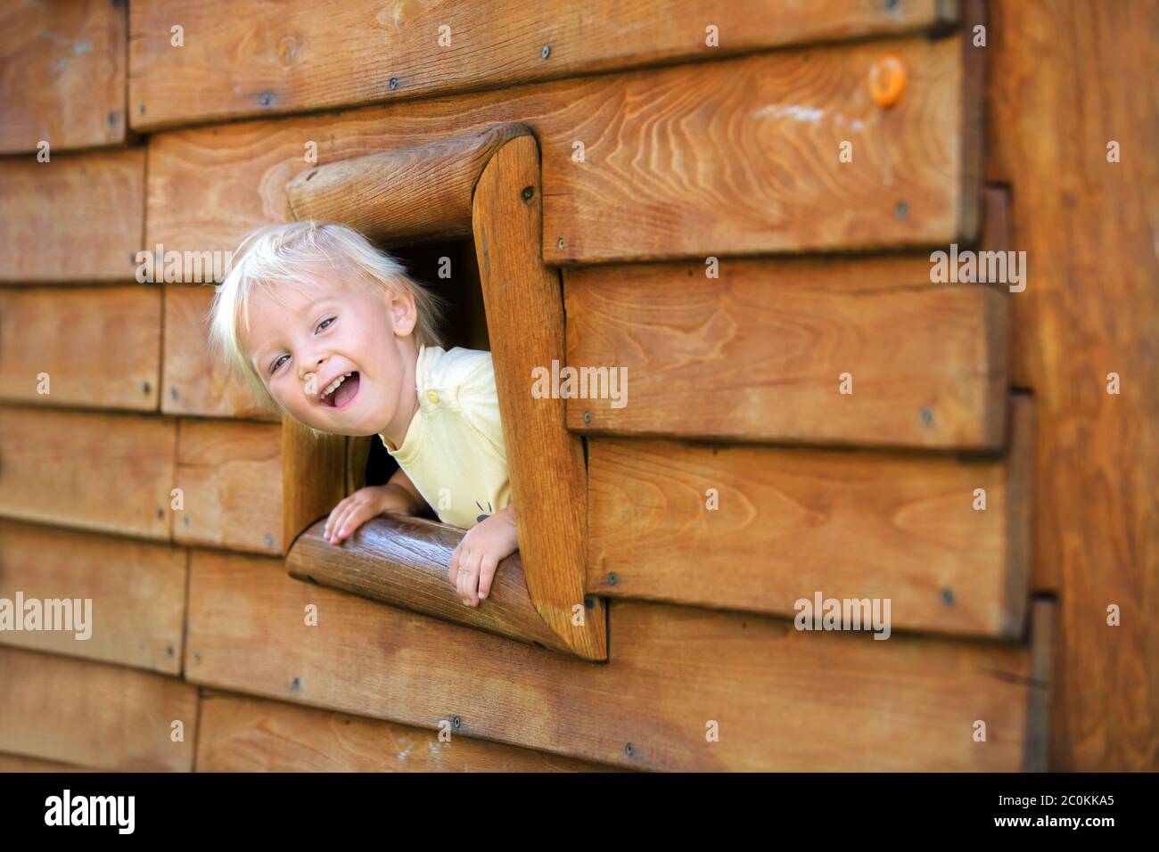 Curious child, toddler boy, peering from a small window in wooden shrub ...
