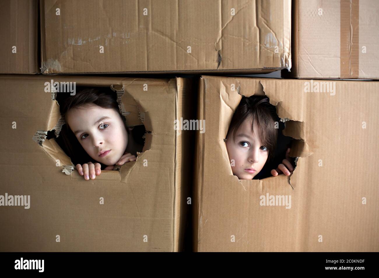 Sweet children, boy brothers, hiding in cardboard box, looking out ...