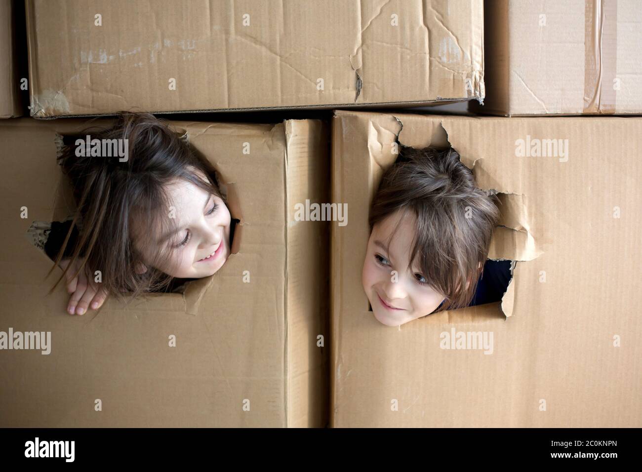 Sweet children, boy brothers, hiding in cardboard box, looking out ...