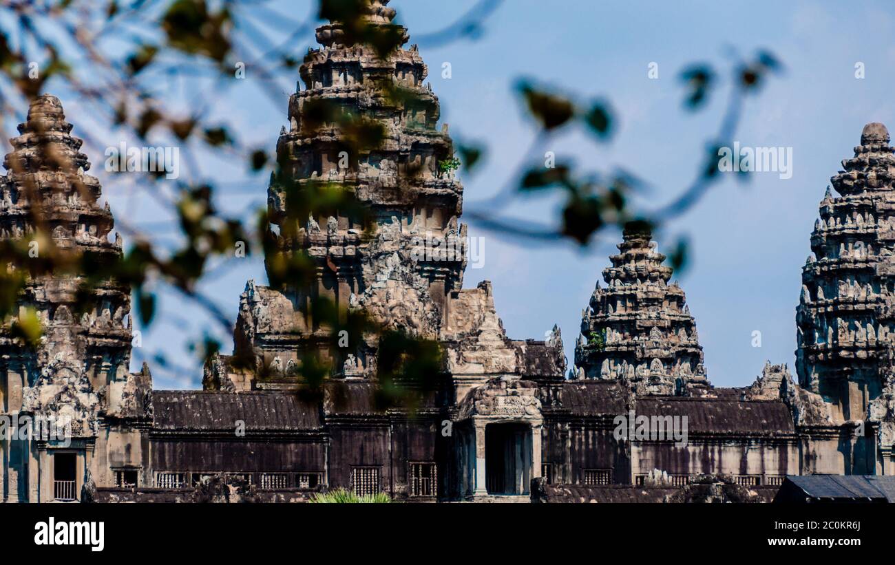 Leaves in front of Angkor Wat Stock Photo - Alamy