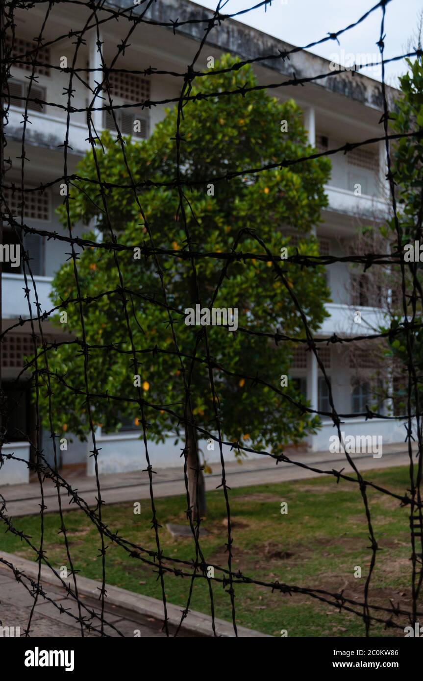 Barbed wire and tree hi-res stock photography and images - Alamy