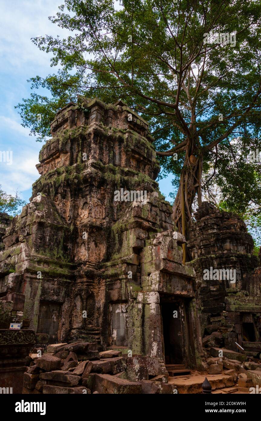 Stone tree sculpture hi-res stock photography and images - Alamy