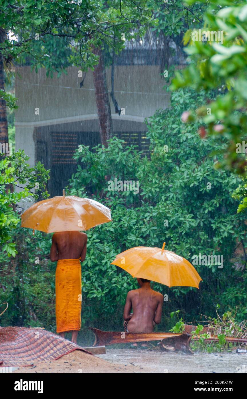 Two Orange monks with umbrella in the rain Stock Photo - Alamy