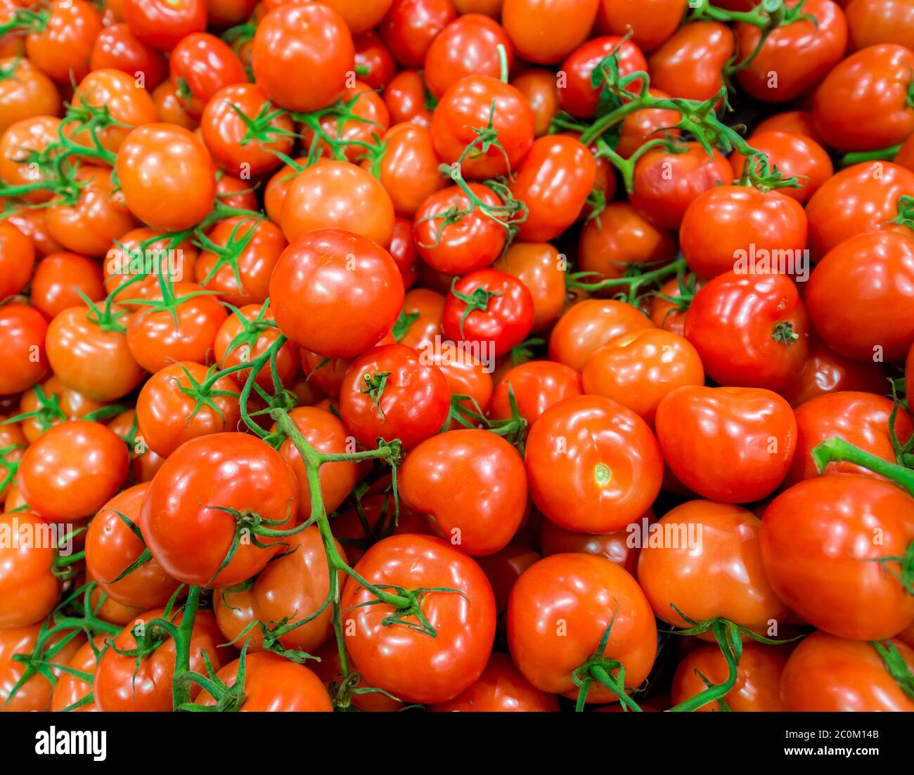 Tomatoes on the supermarket display Stock Photo - Alamy