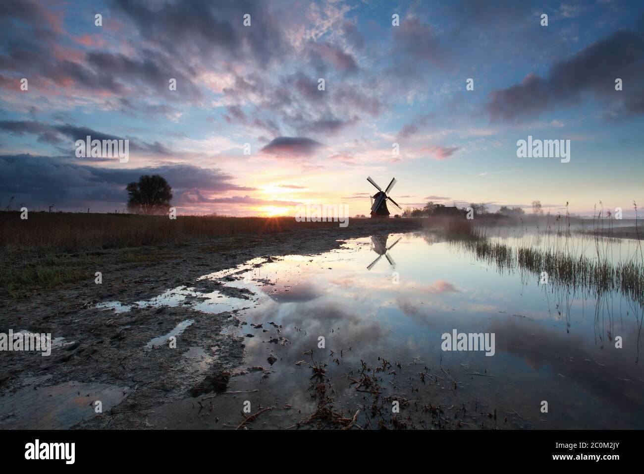 Building behind pond hi-res stock photography and images - Alamy