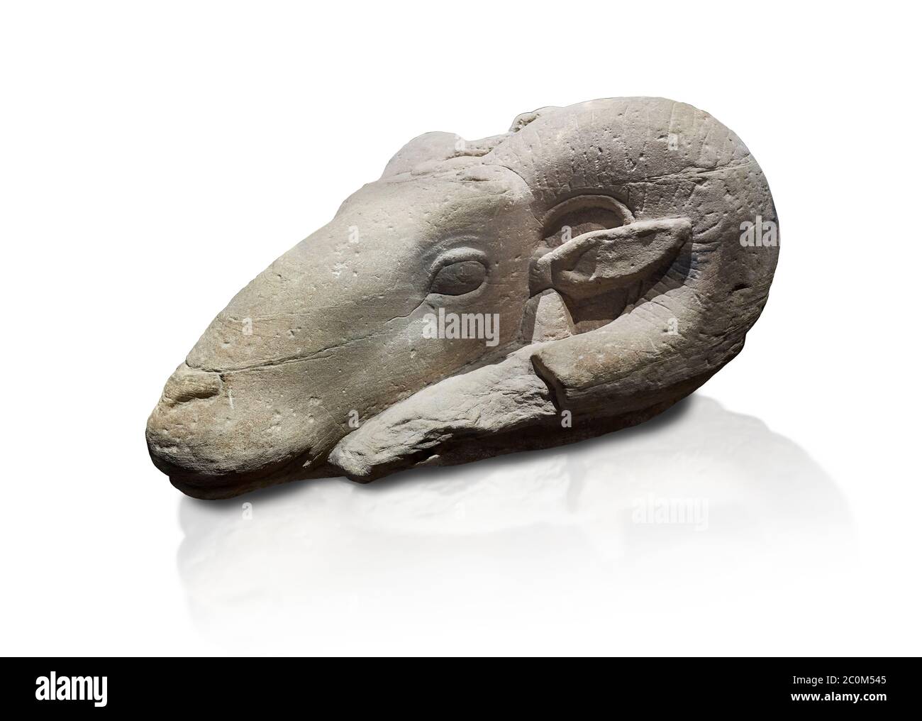 Ancient Egyptian sculpture of the head of a criosphinx, sandstone, New ...