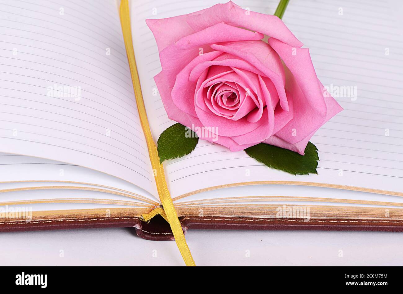 Book paper rose hi-res stock photography and images - Alamy
