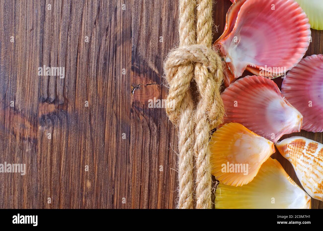 sea shells and rope Stock Photo - Alamy