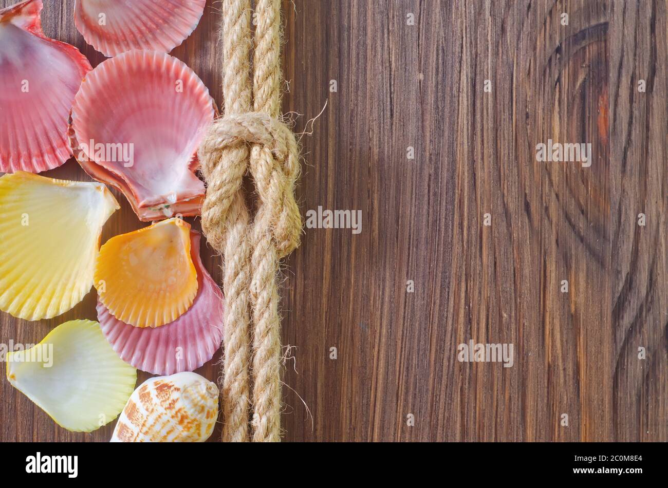 sea shells and rope Stock Photo - Alamy