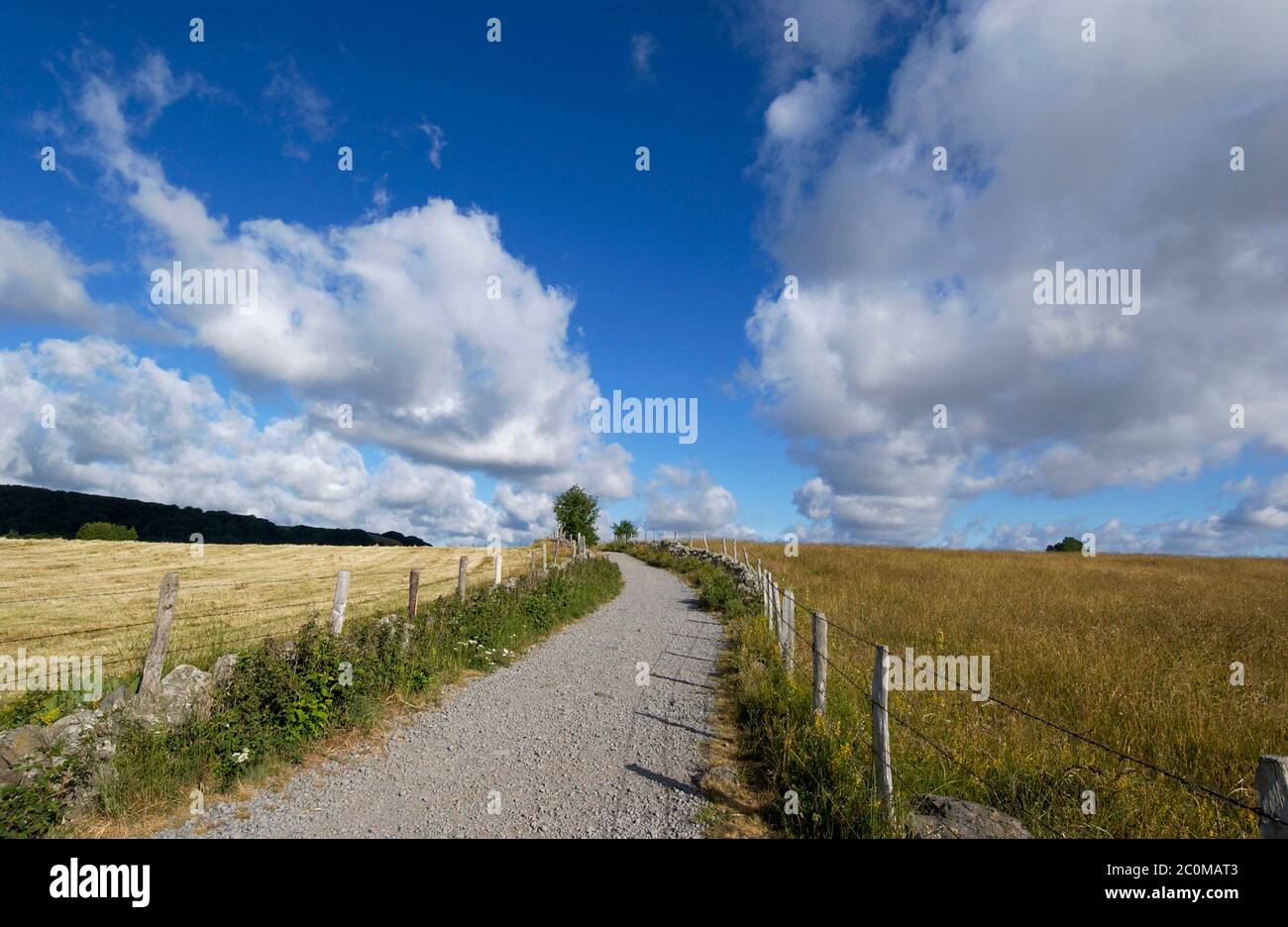 French path to st jacques de compostelle hi-res stock photography and ...