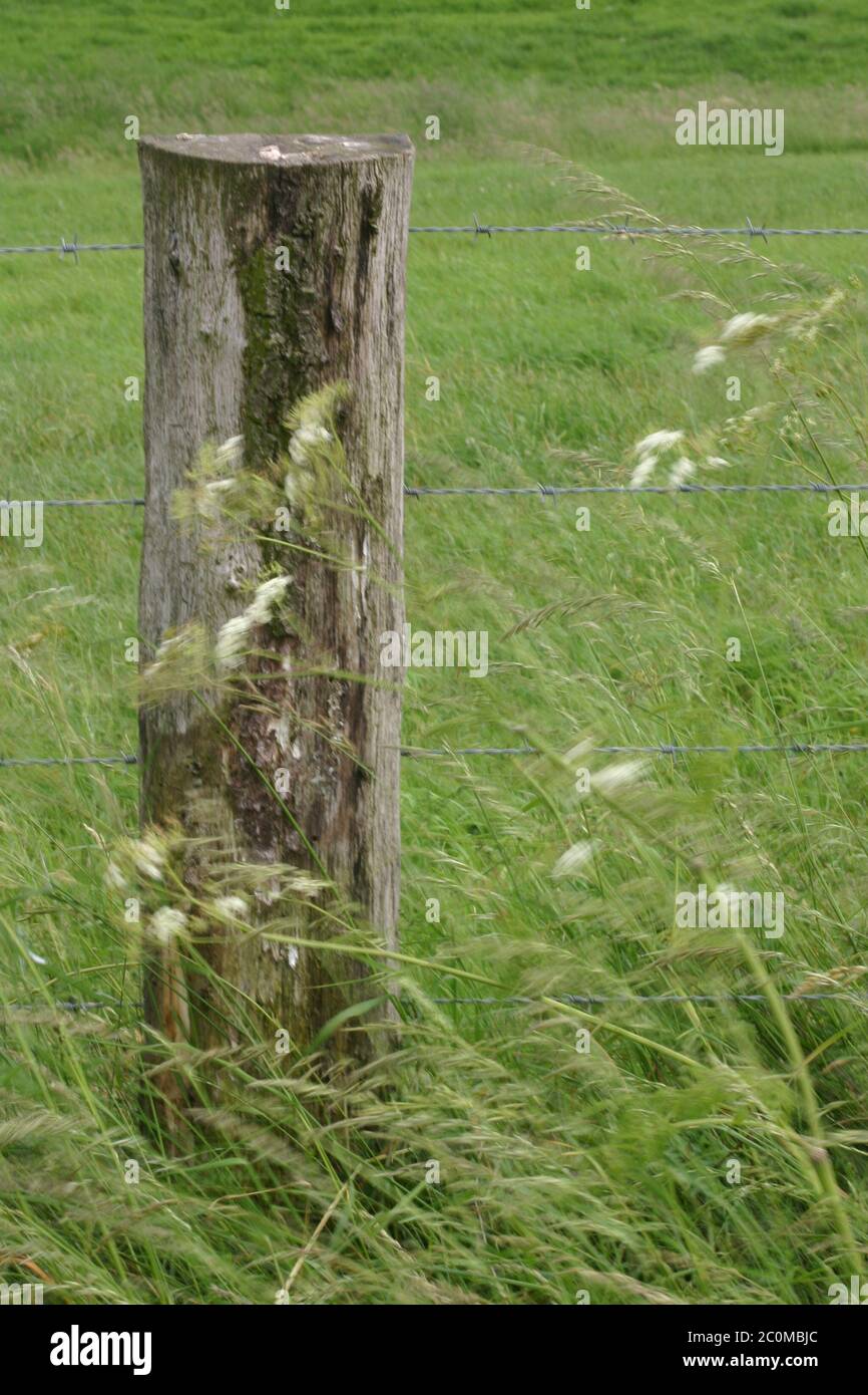 Wind fence hi-res stock photography and images - Alamy