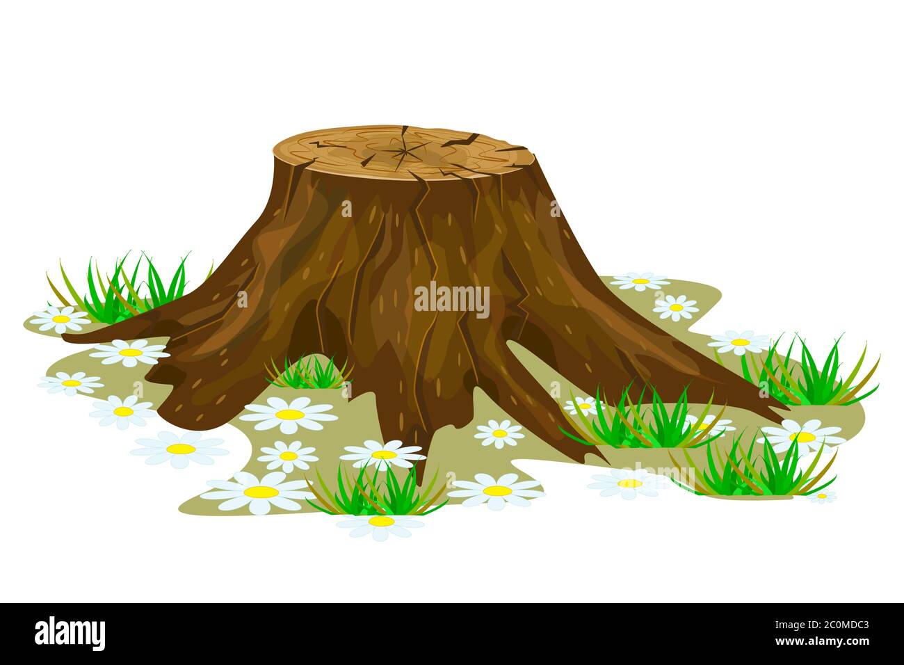 Tree Stump Isolated On White Background Old Tree Stump With Roots Grass And Flowers Trunk
