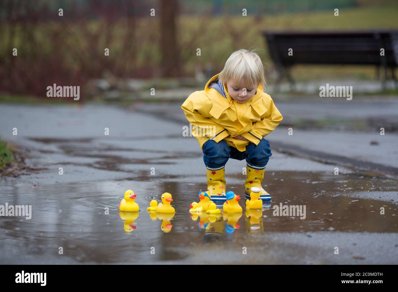 Beautiful funny blonde toddler boy with rubber ducks and colorful ...